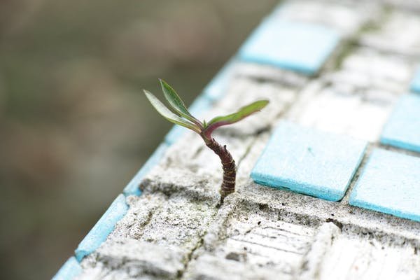 ¿Por qué es tan difícil encontrar una idea novedosa para emprender ...